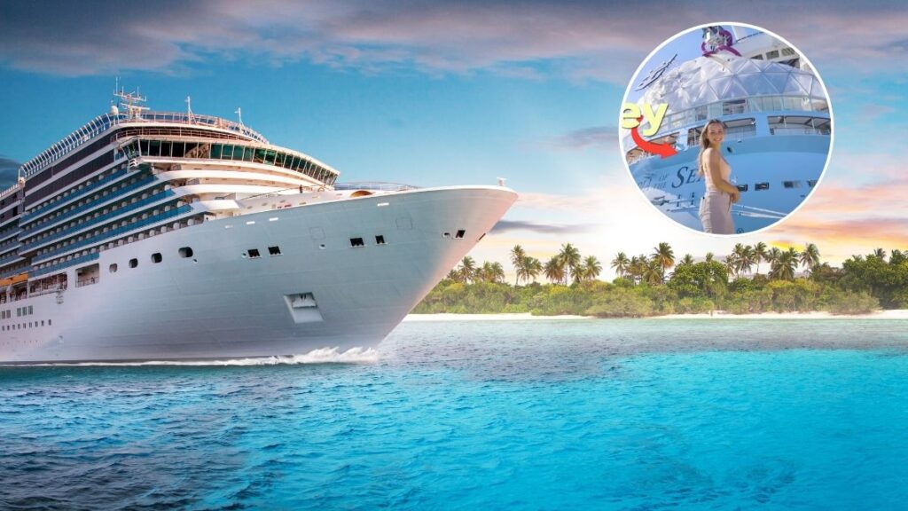 Cruise Ship Performer Reveals the Jaw-Dropping Salary She Actually Took ...