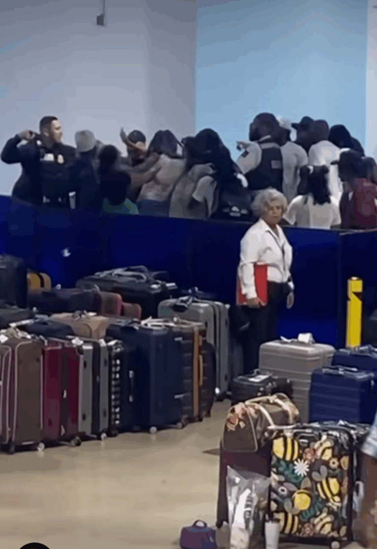 Carnival Cruise Ends in Disaster as Luggage Hall Fight Breaks Out